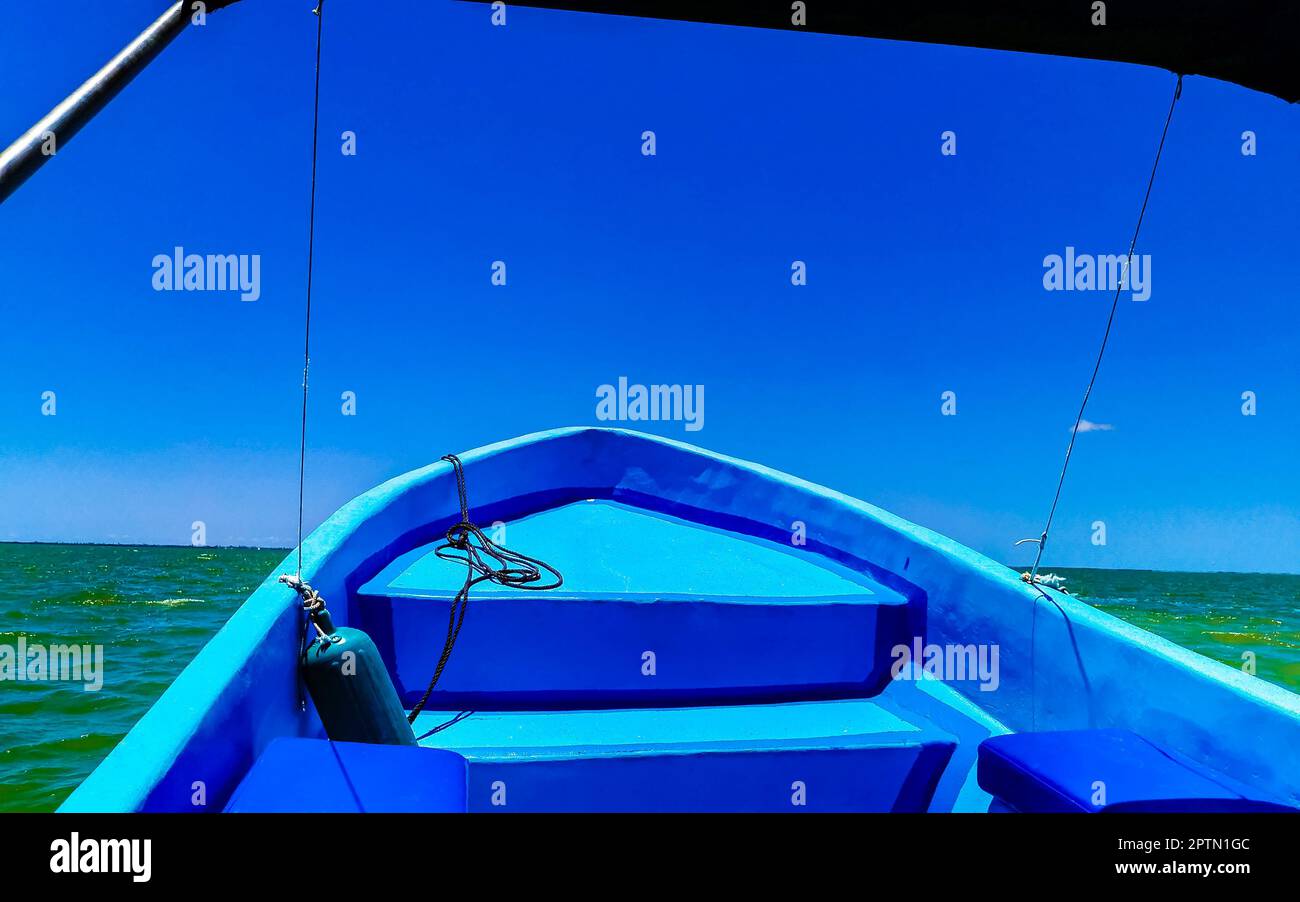 Boat trip with speed boat or ferry from Chiquilá to Isla Holbox island ...