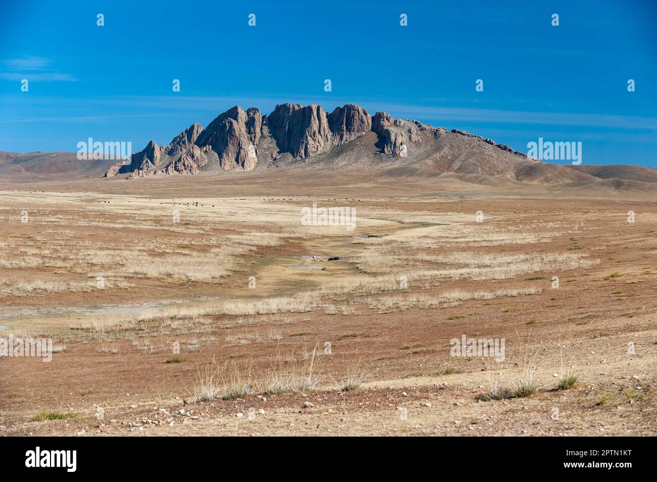 Rock formation on the horizon in the steppe landscape of the Gobi ...