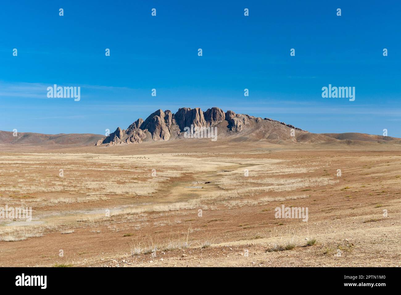Rock formation on the horizon in the steppe landscape of the Gobi ...