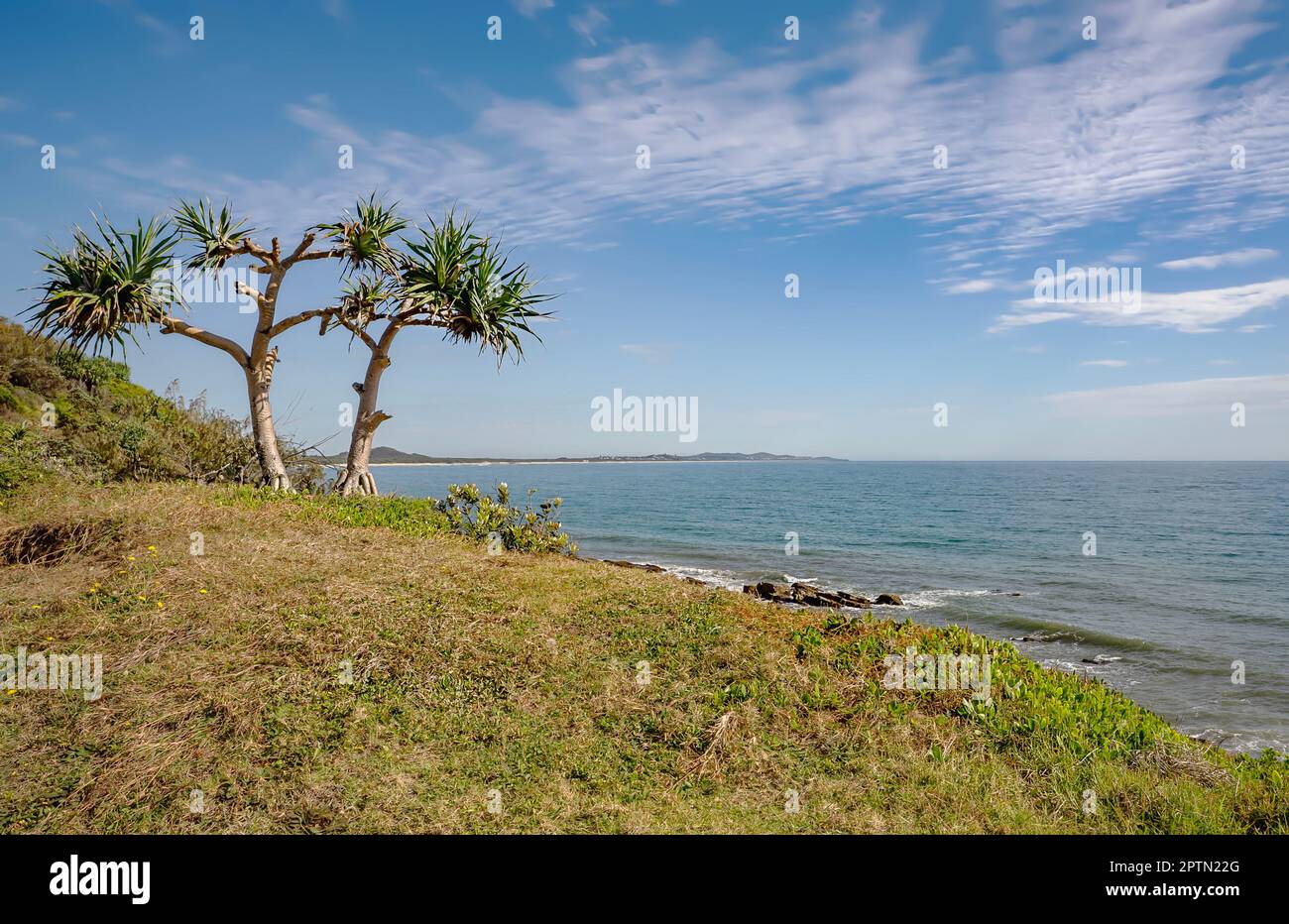Northern view of Pacific Ocean and coastline from Point Arkwright ...