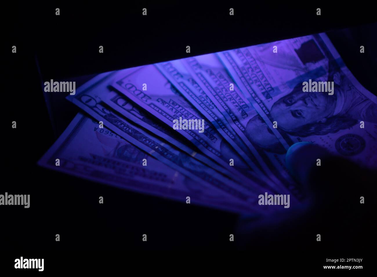 Close-up of dollars under an ultraviolet lamp. Inspection of a dollar ...