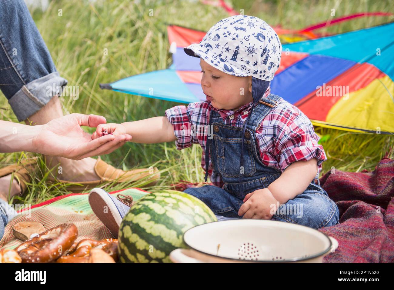 Father giving cherry to his little baby boy on meadow in the ...