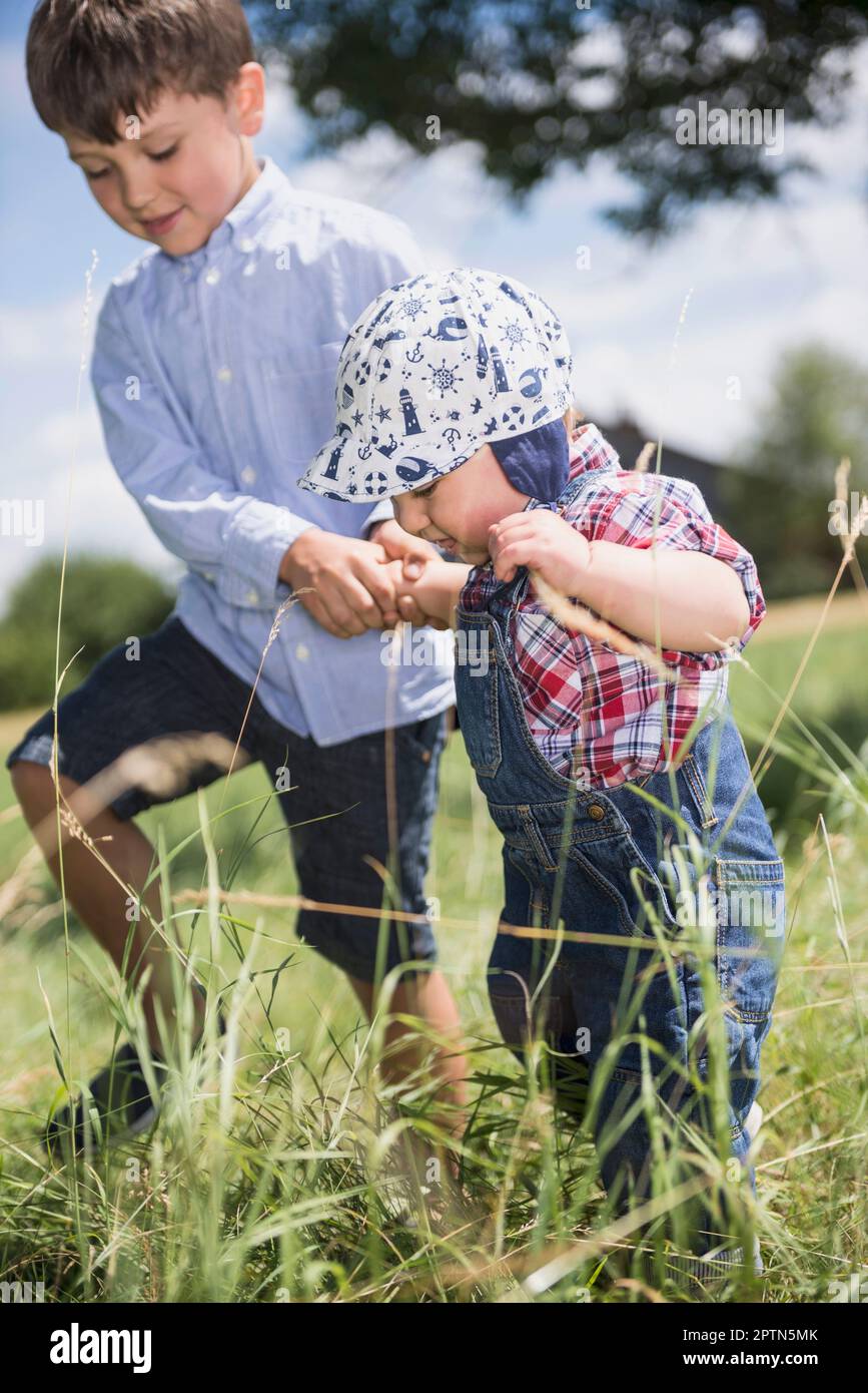Small boy holding hand of his brother through a meadow in the ...