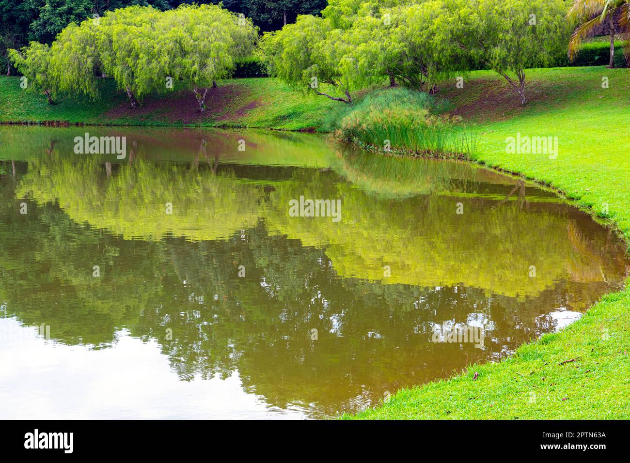 Adda Heights Town Park is community park in Johor Bahru enhances a ...