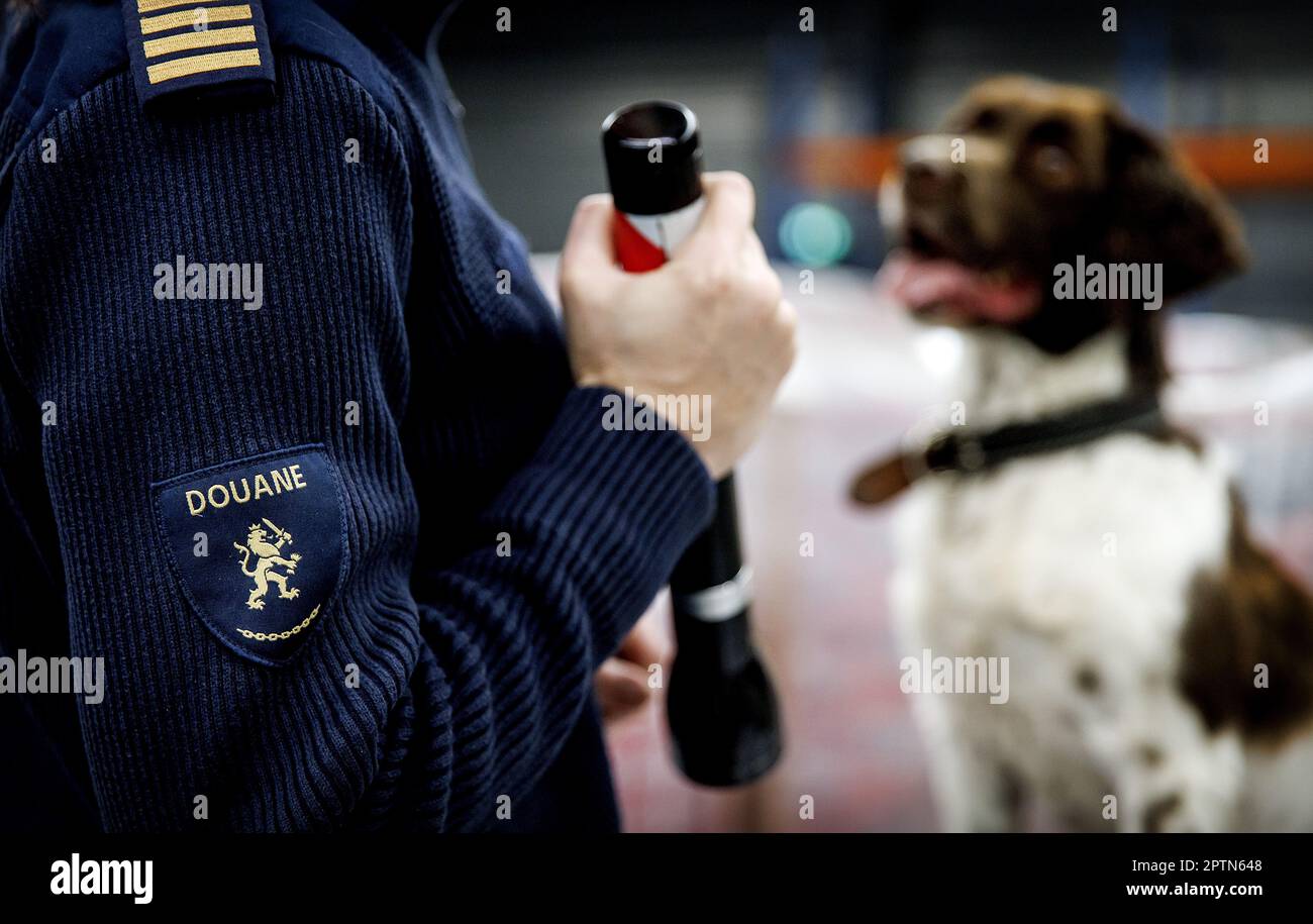 ROTTERDAM - A customs officer of the Port of Rotterdam Customs with a ...