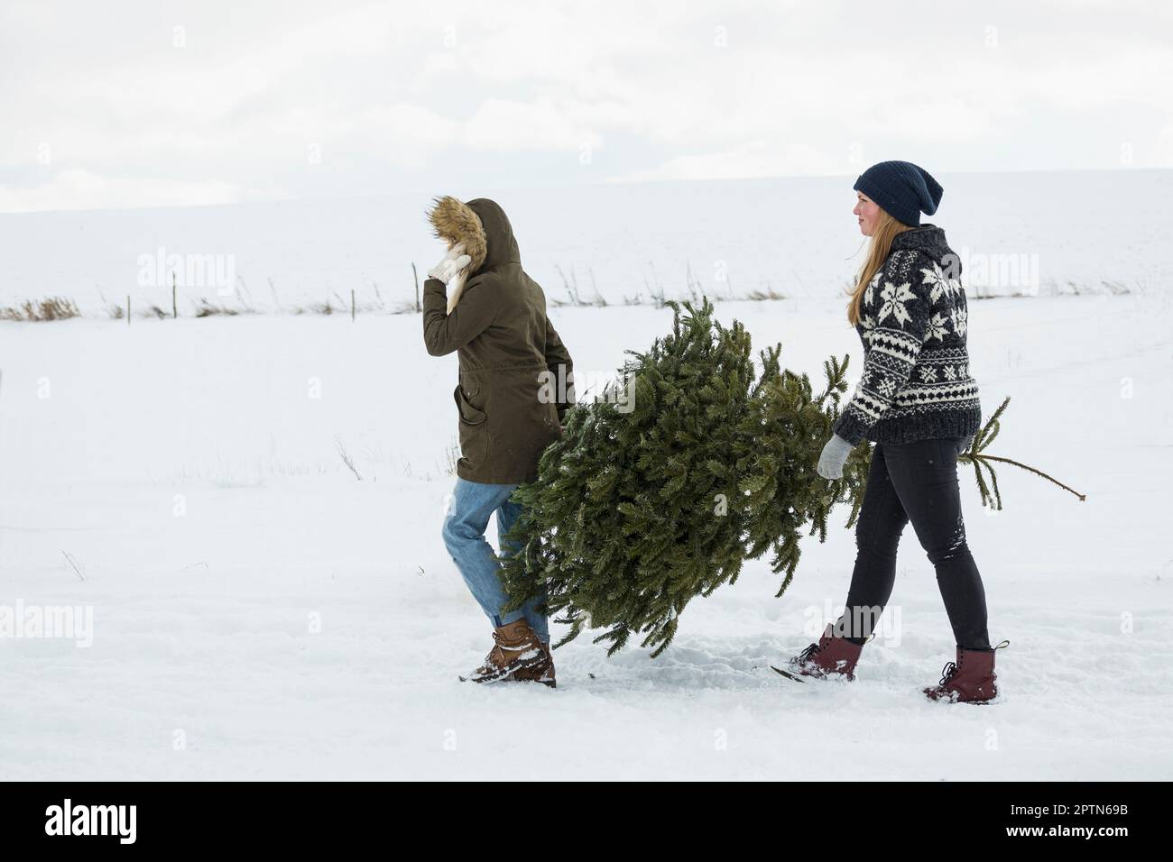 Two teenage girls carrying a christmas tree in snowy landscape, Bavaria ...