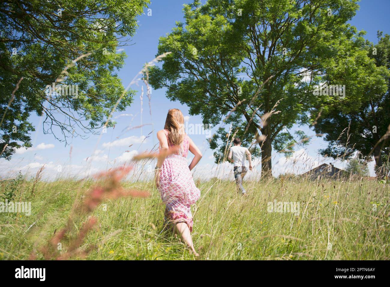 Rear view of mid adult couple running through grass on meadow in the ...