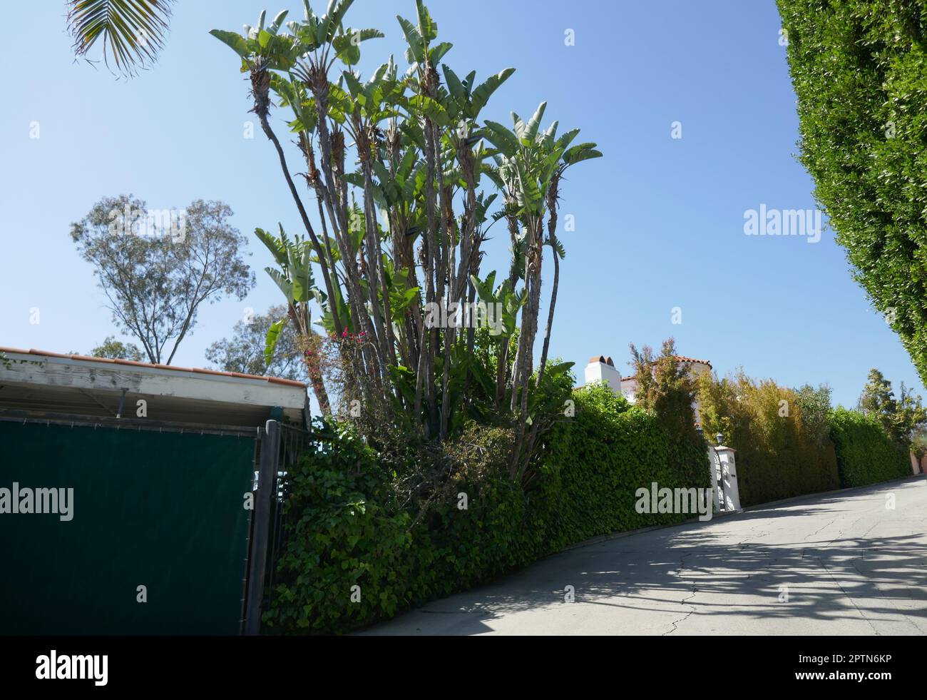 Los Angeles, California, USA 27th April 2023 Actor Cary Grant and Actor ...