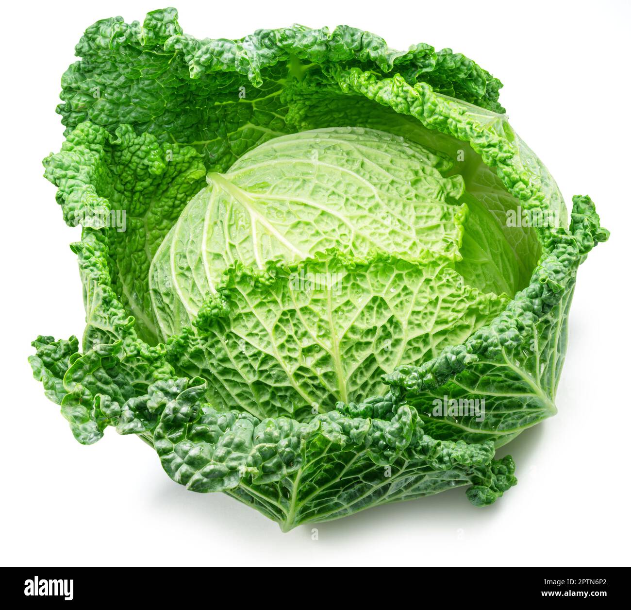 Fresh green savoy cabbage isolated on white background Stock Photo - Alamy