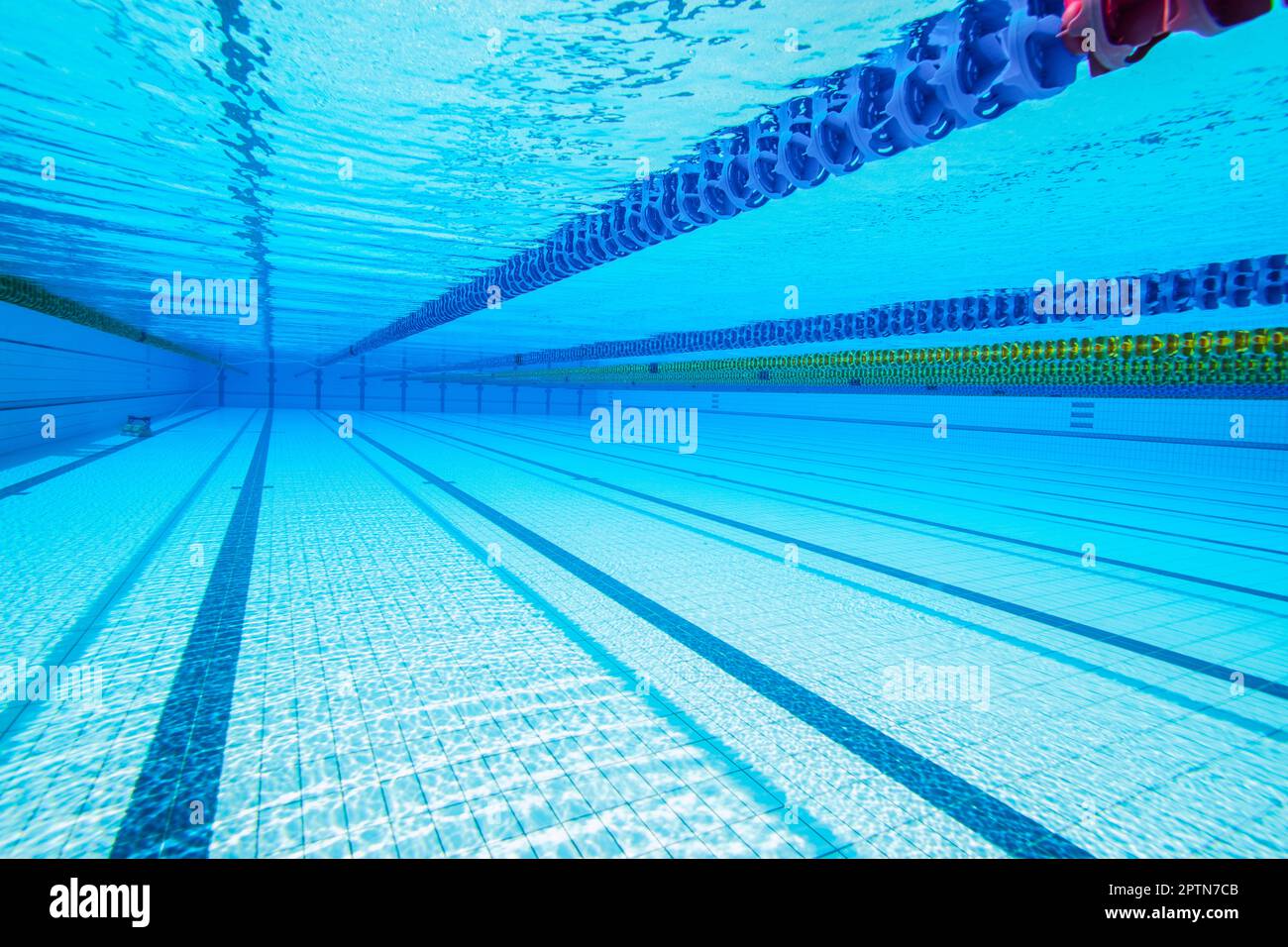 Pool blue water without people hi-res stock photography and images - Alamy