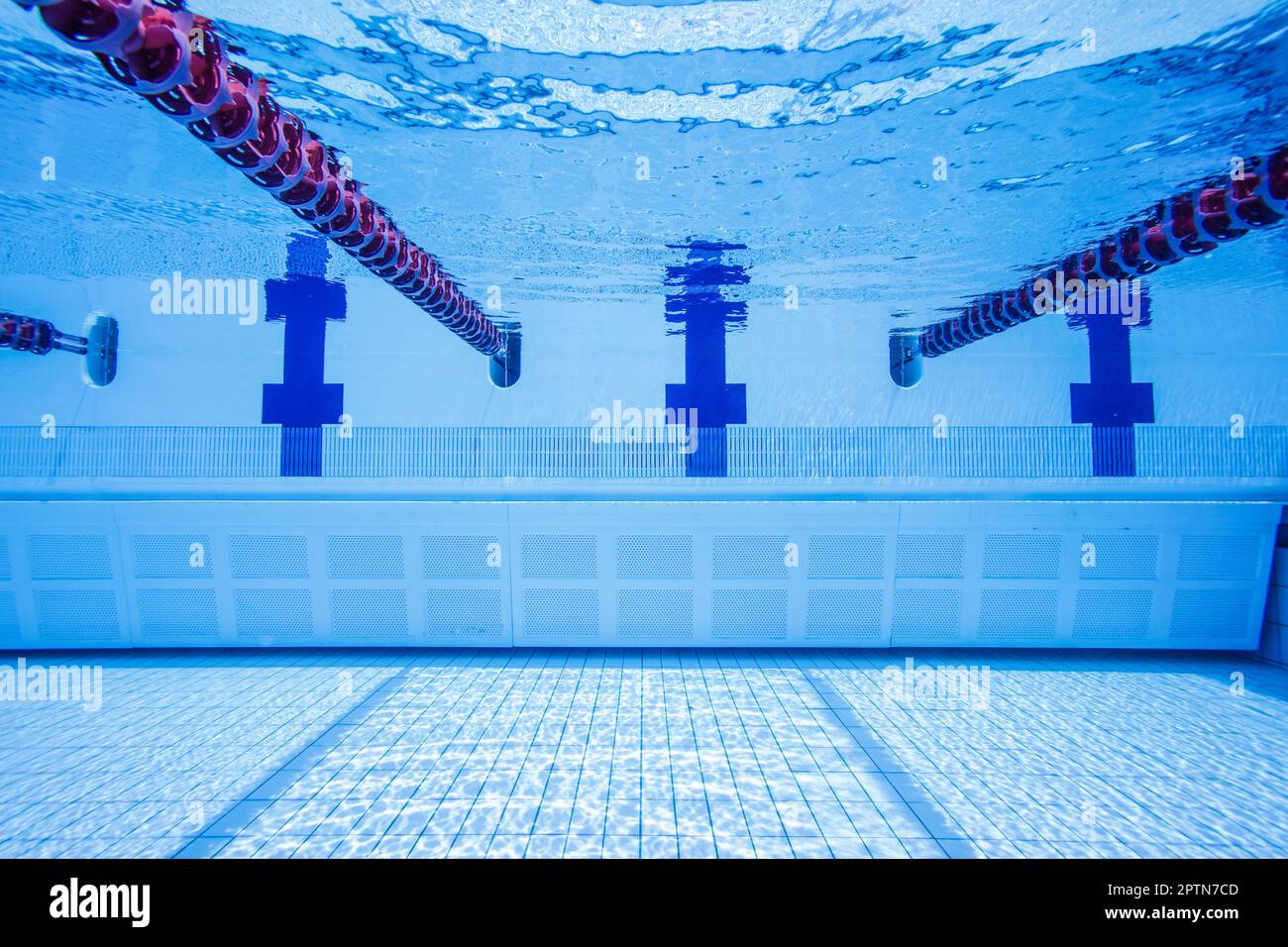 Swimming pool without people in Trinidad Stock Photo - Alamy