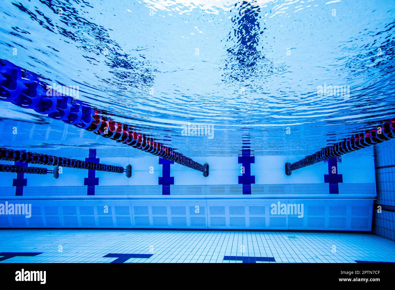 Swimming pool without people in Trinidad Stock Photo - Alamy
