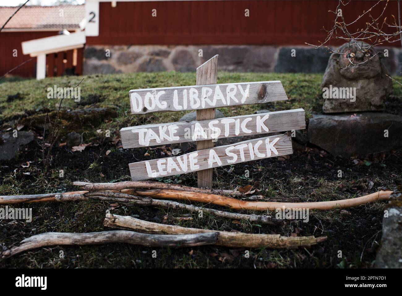 Dog sticks laying on the ground ready for dogs to take Stock Photo - Alamy