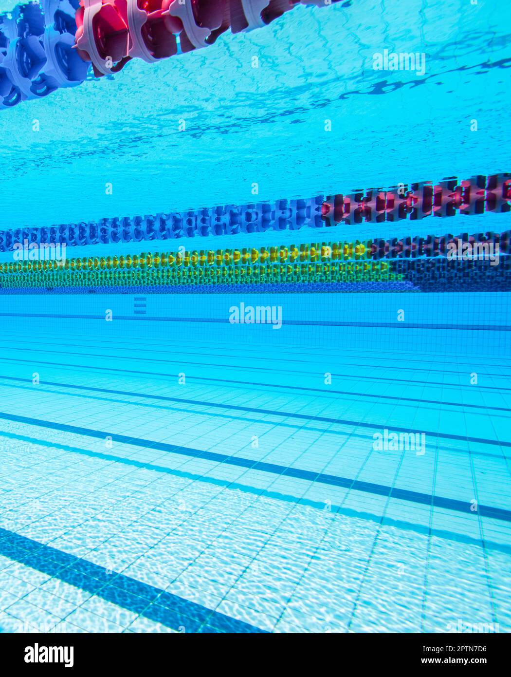 Swimming Pool Lane Lines Background