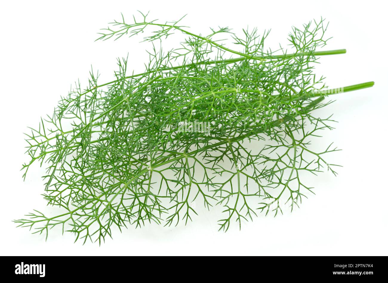 Green dill leaves isolated on white background Stock Photo - Alamy
