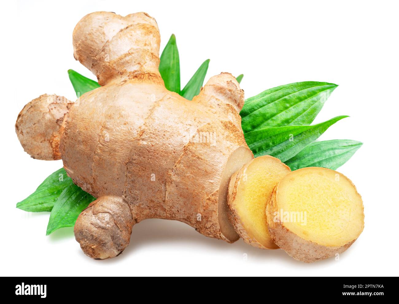 Ginger root and round slices of ginger root isolated on white ...