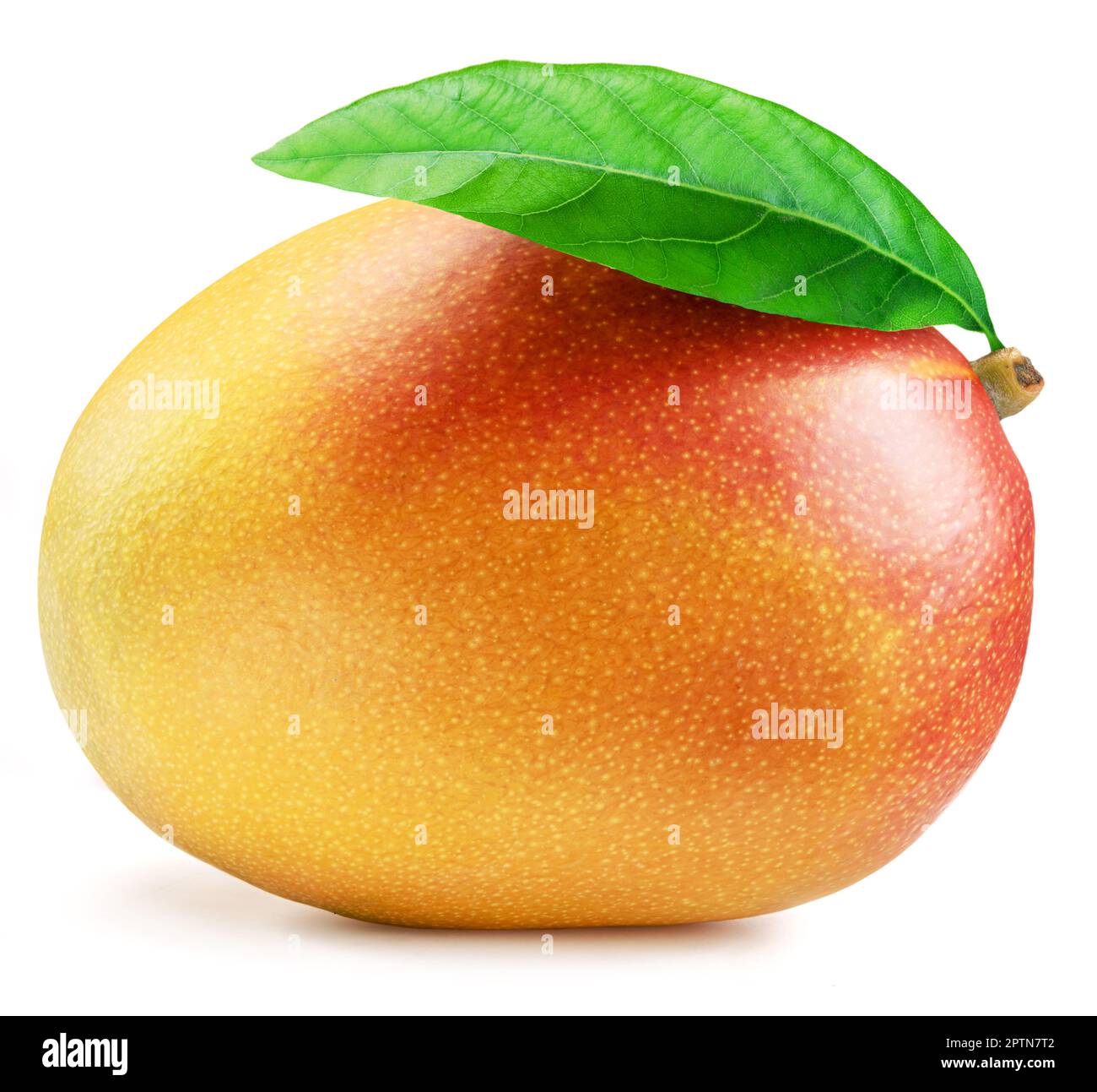 Mango with green leaf isolated on white background Stock Photo - Alamy