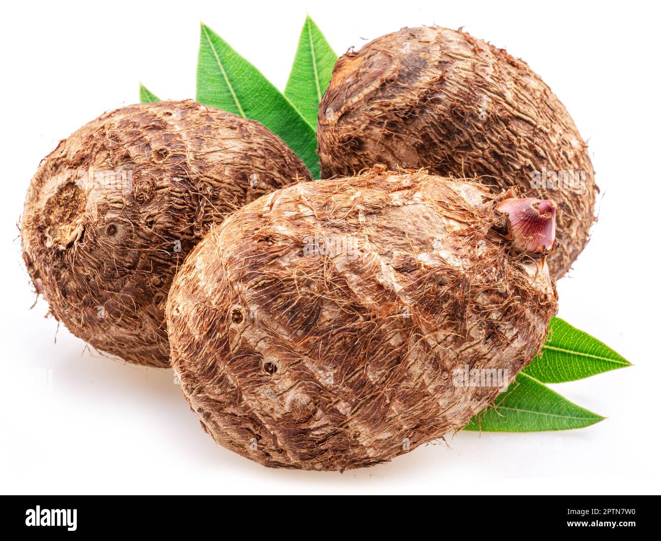 Eddoe or taro tubers and green leaves isolated on white background ...