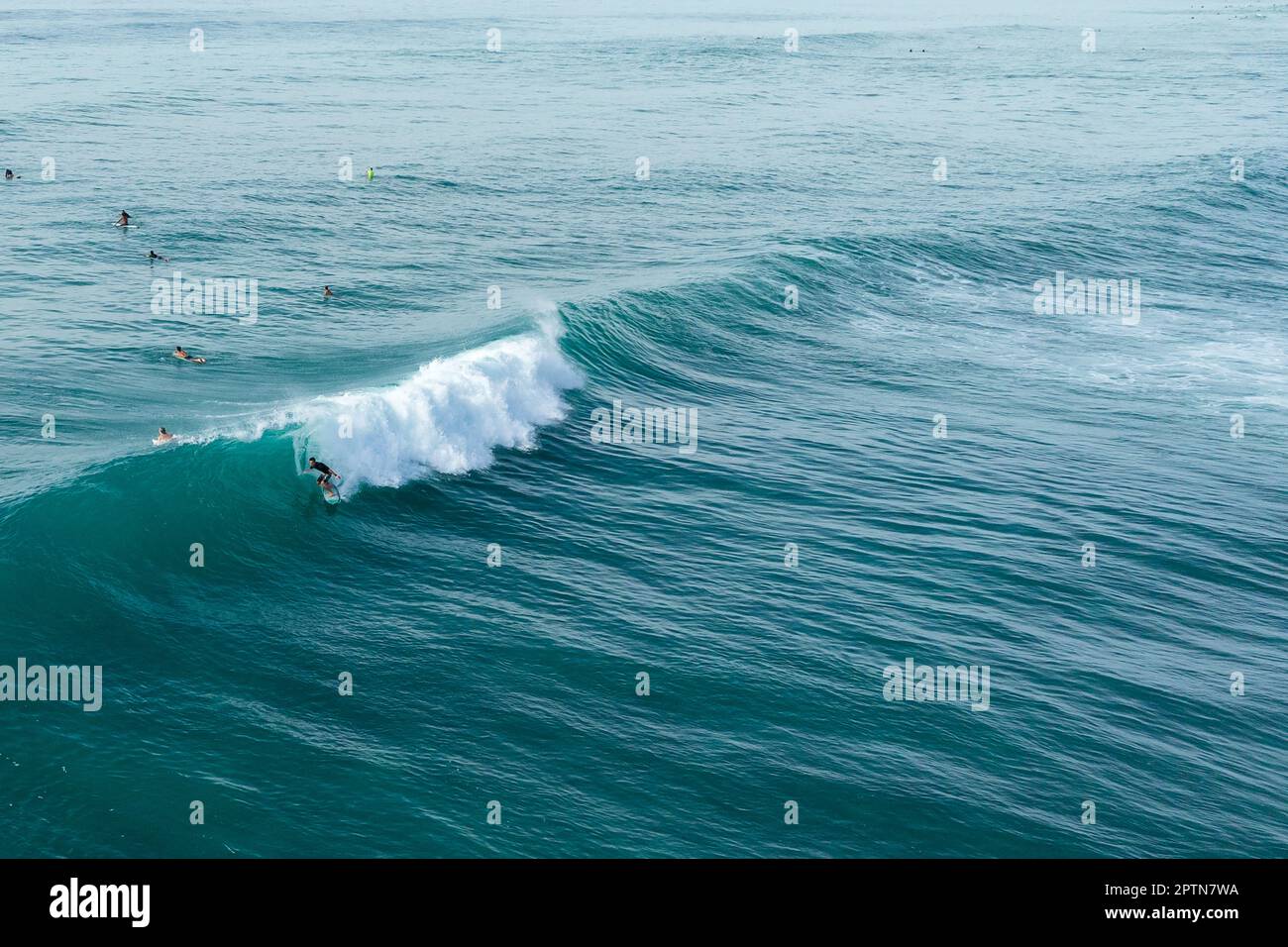 Surfer rides a barrel on a wave in Honolulu, Hawaii Stock Photo - Alamy