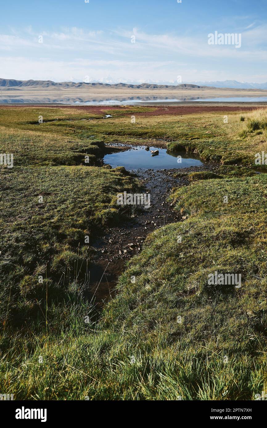 Landscape on TuzKol Lake in Kazakhstan, green field and river Stock ...