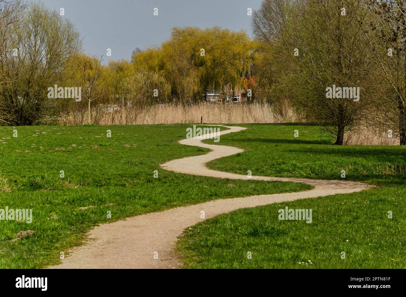 Sandy footpath meandering between grass and trees in Zuidelijk Randpark ...