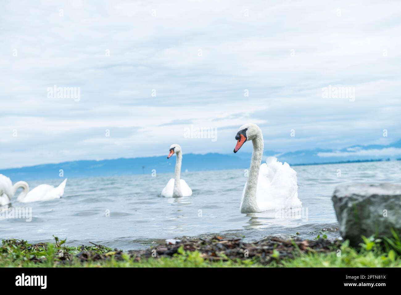 Leisure activities at the beautiful Lake Constance Stock Photo - Alamy