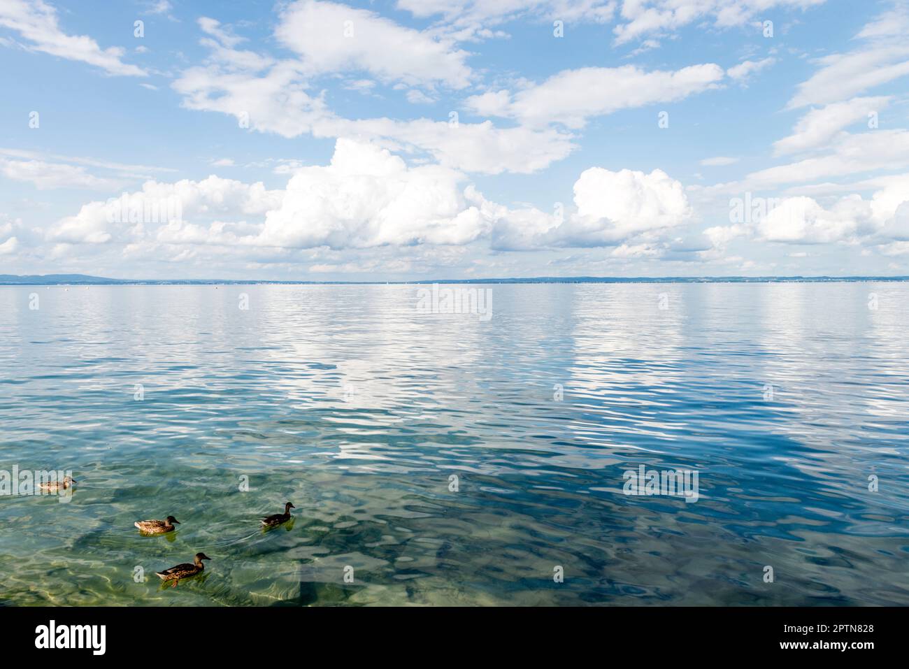 Leisure activities at the beautiful Lake Constance Stock Photo - Alamy