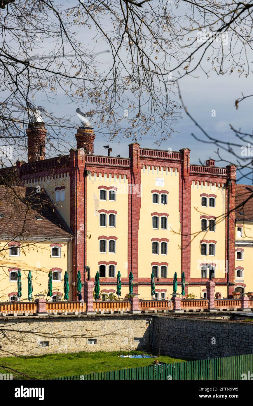 Trebon beer hi-res stock photography and images - Alamy