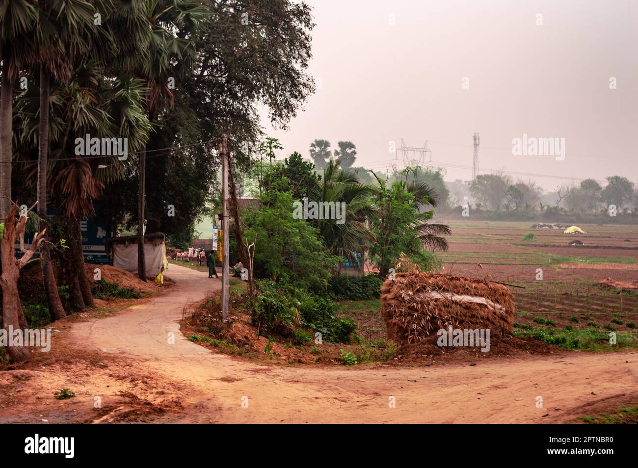 U Shaped dirt road of a rural village. Summer Landscape. Rural India ...