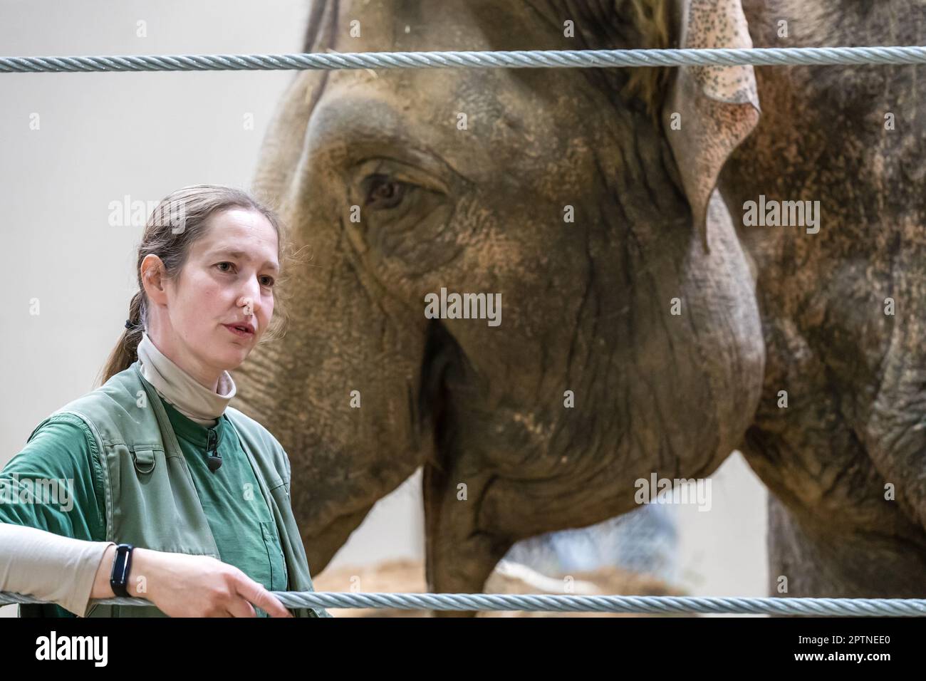 Cottbus, Germany. 28th Apr, 2023. Cottbus Zoo keeper Heike Jandke and ...