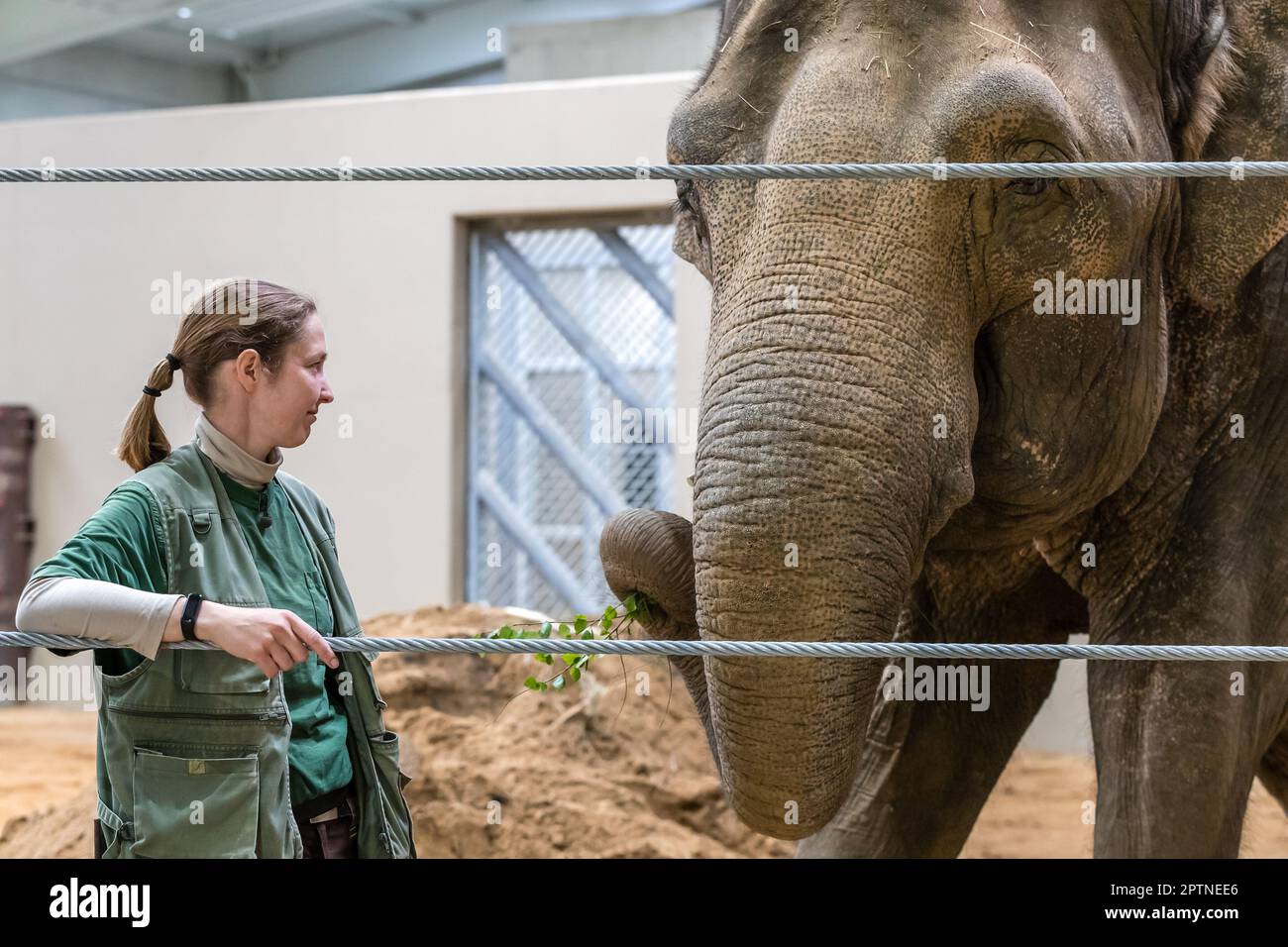 Cottbus, Germany. 28th Apr, 2023. Cottbus Zoo keeper Heike Jandke and ...