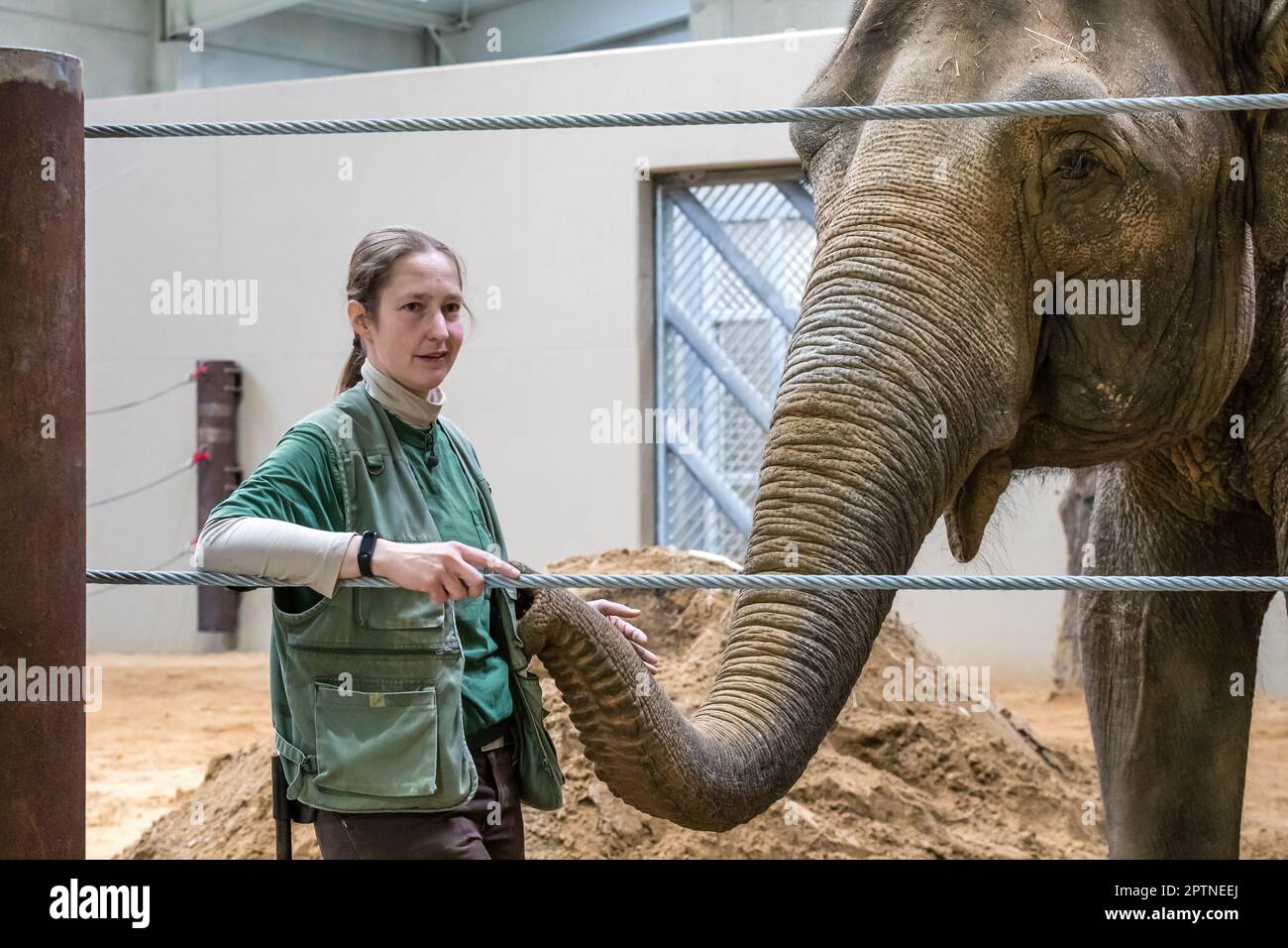 Cottbus, Germany. 28th Apr, 2023. Cottbus Zoo keeper Heike Jandke and ...