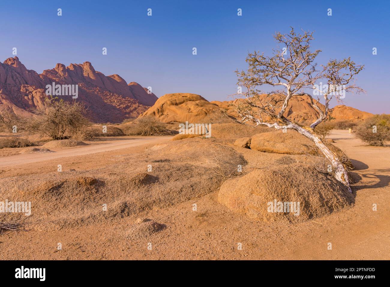 The Pondoks near the Spitzkoppe mountain in Namibia in Africa Stock ...