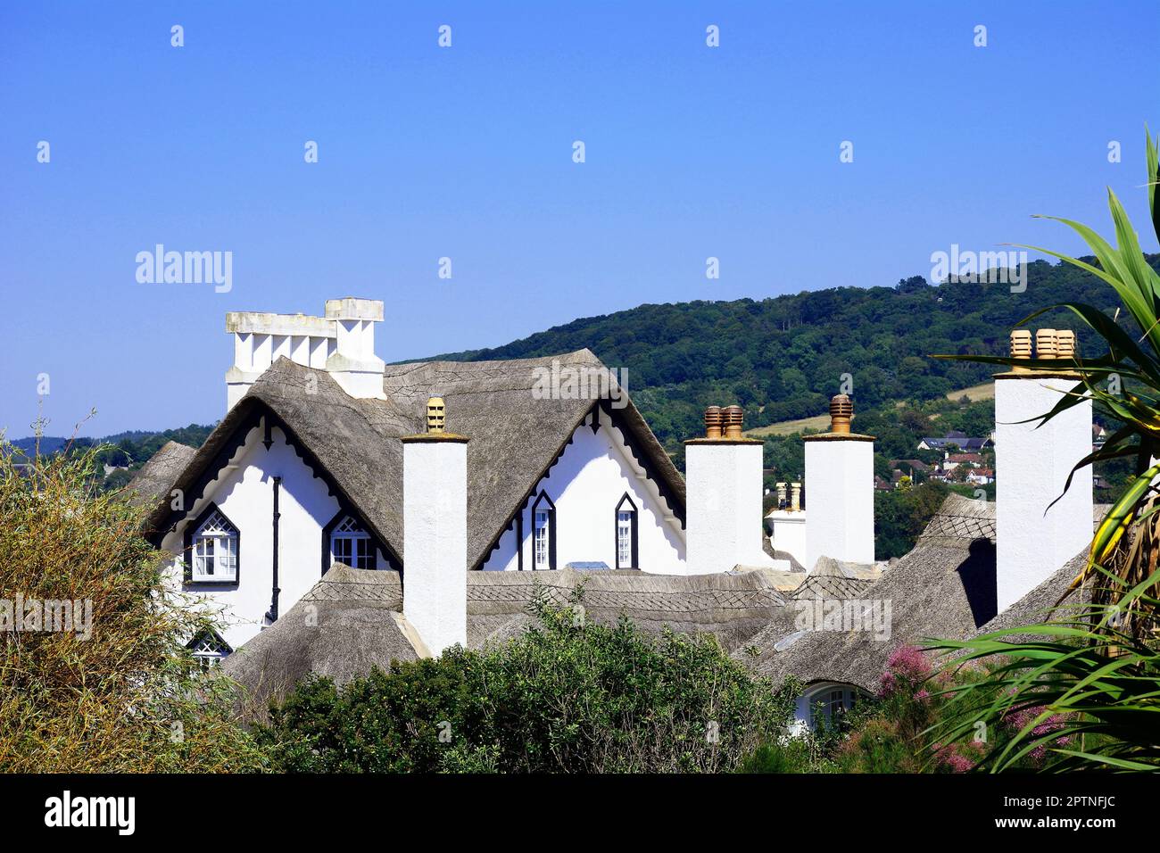 Cottage chimney pot hi-res stock photography and images - Alamy