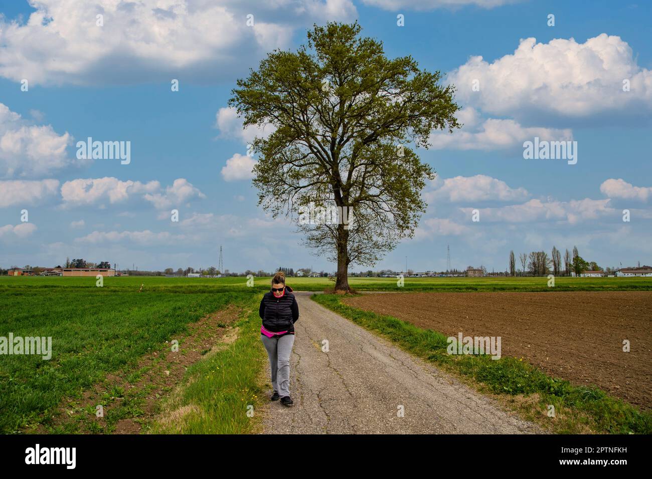 Woman walking alone on a road in the middle of cultivated fields Stock ...