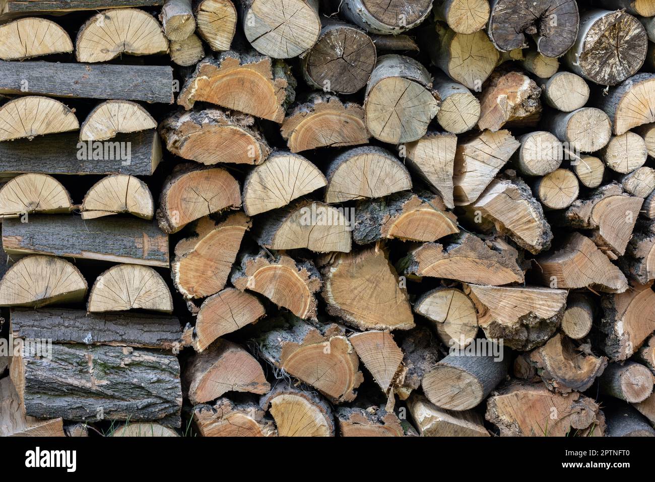 stack of firewood prepared for winter Stock Photo - Alamy