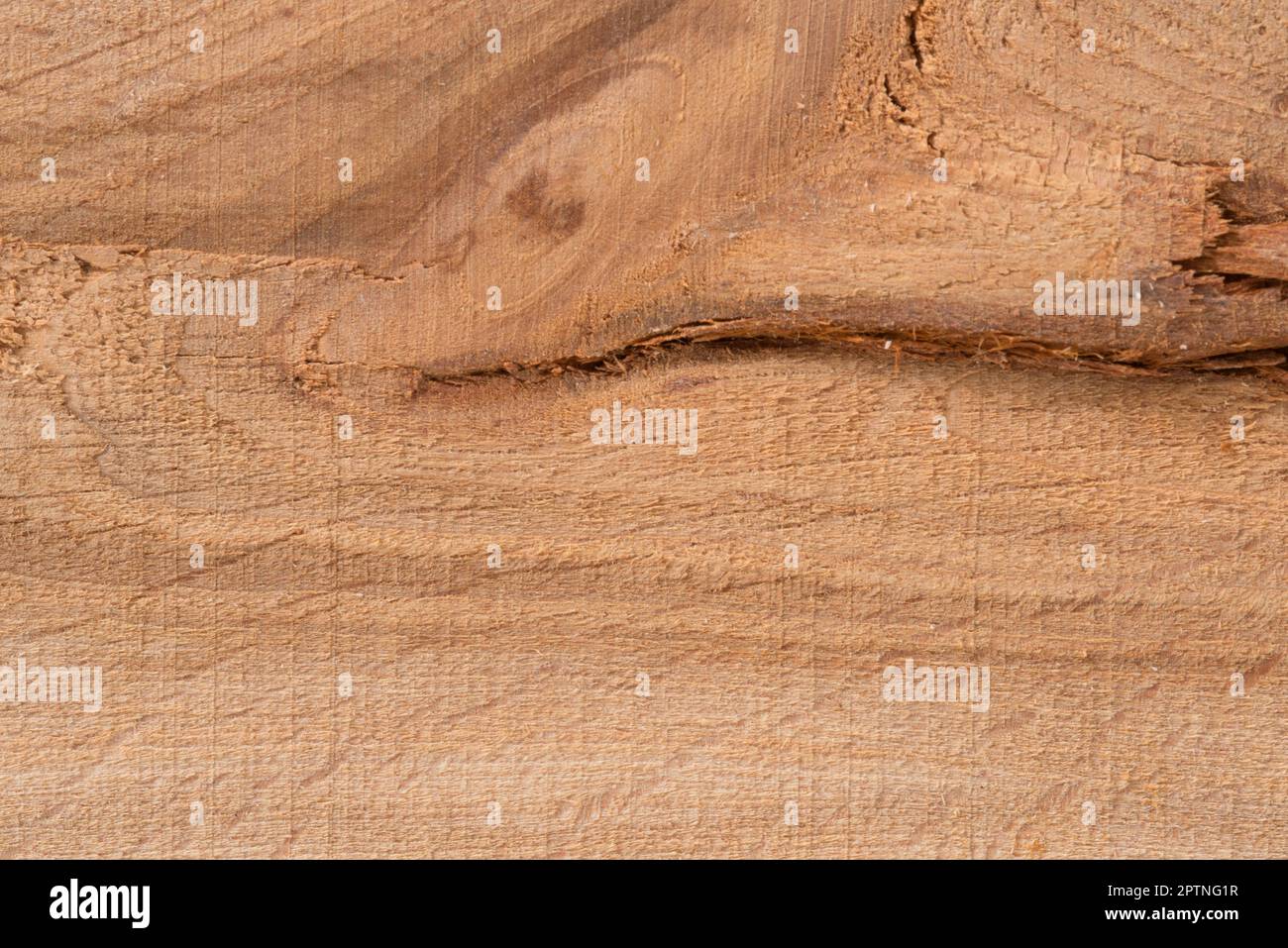sfondo creato con legno di faggio, background con legno Stock Photo - Alamy