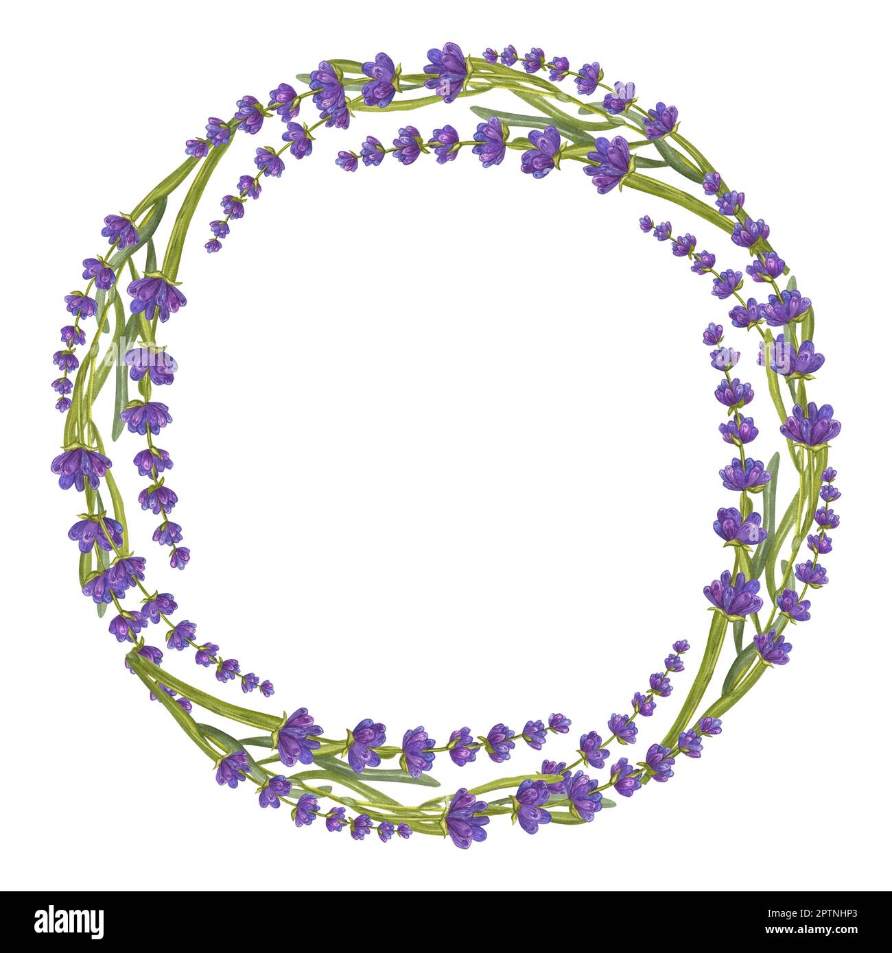 Frame round bunch lavender flowers. Floral aquarelle bouquet. Eco ...