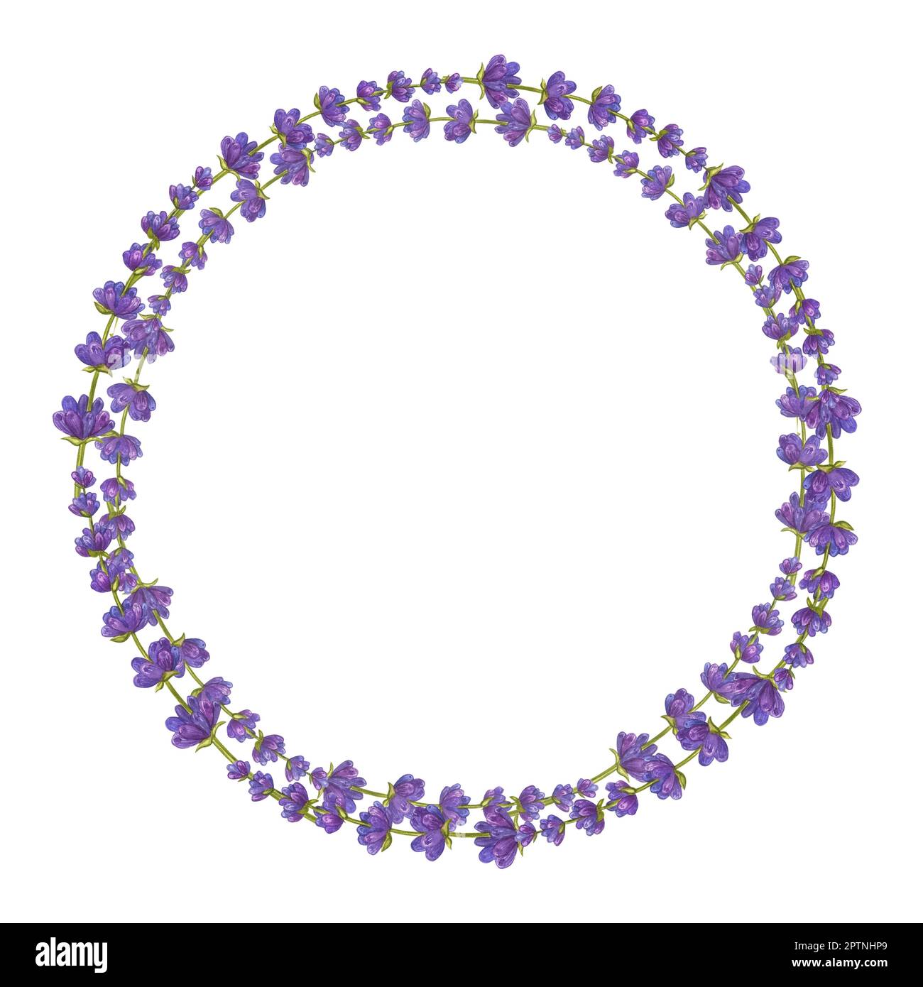 Frame round bunch lavender flowers. Floral aquarelle bouquet. Eco ...