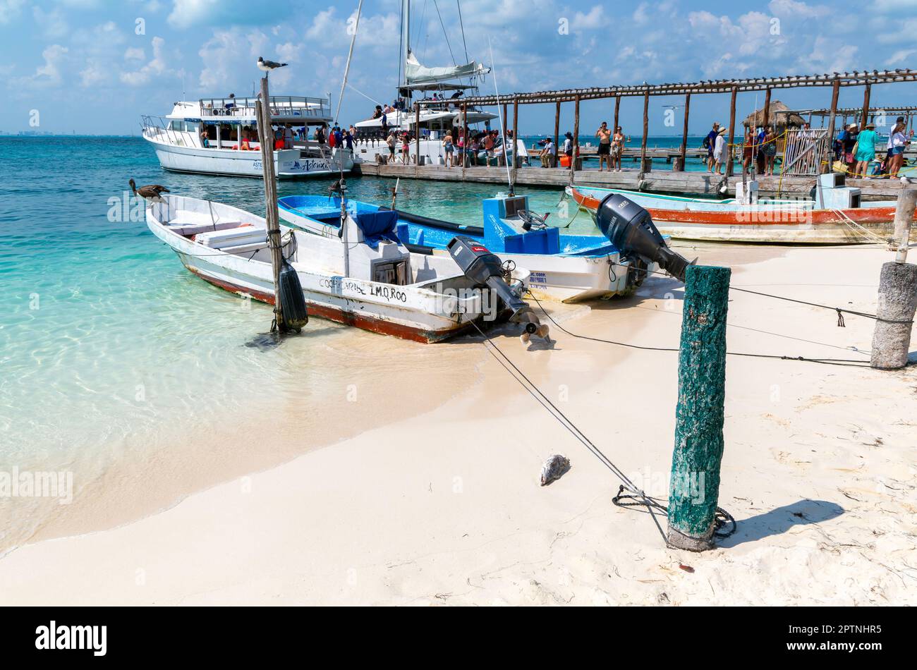 Wooden jetty for tour boats by beach, Isla Mujeres, Caribbean Coast ...
