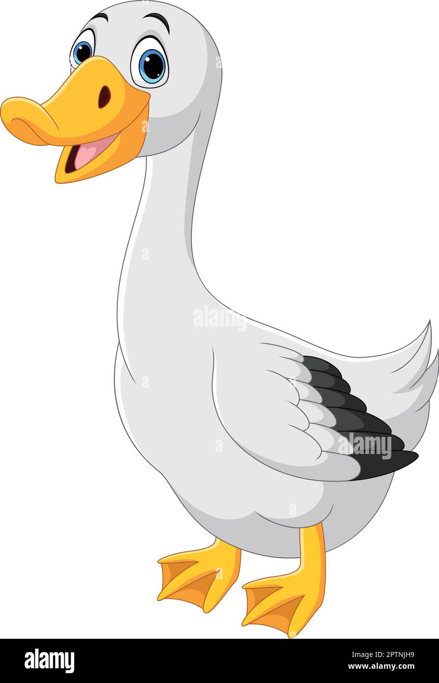 Standing cartoon swan white hi-res stock photography and images - Alamy