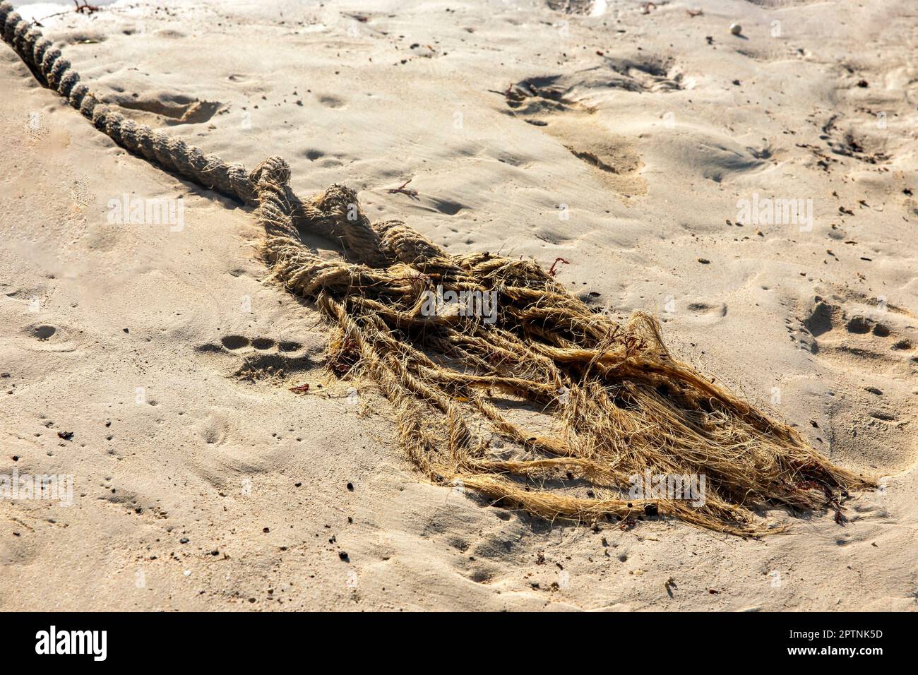 Seaworthy rope rope untied in the sand of the beach after being used in ...