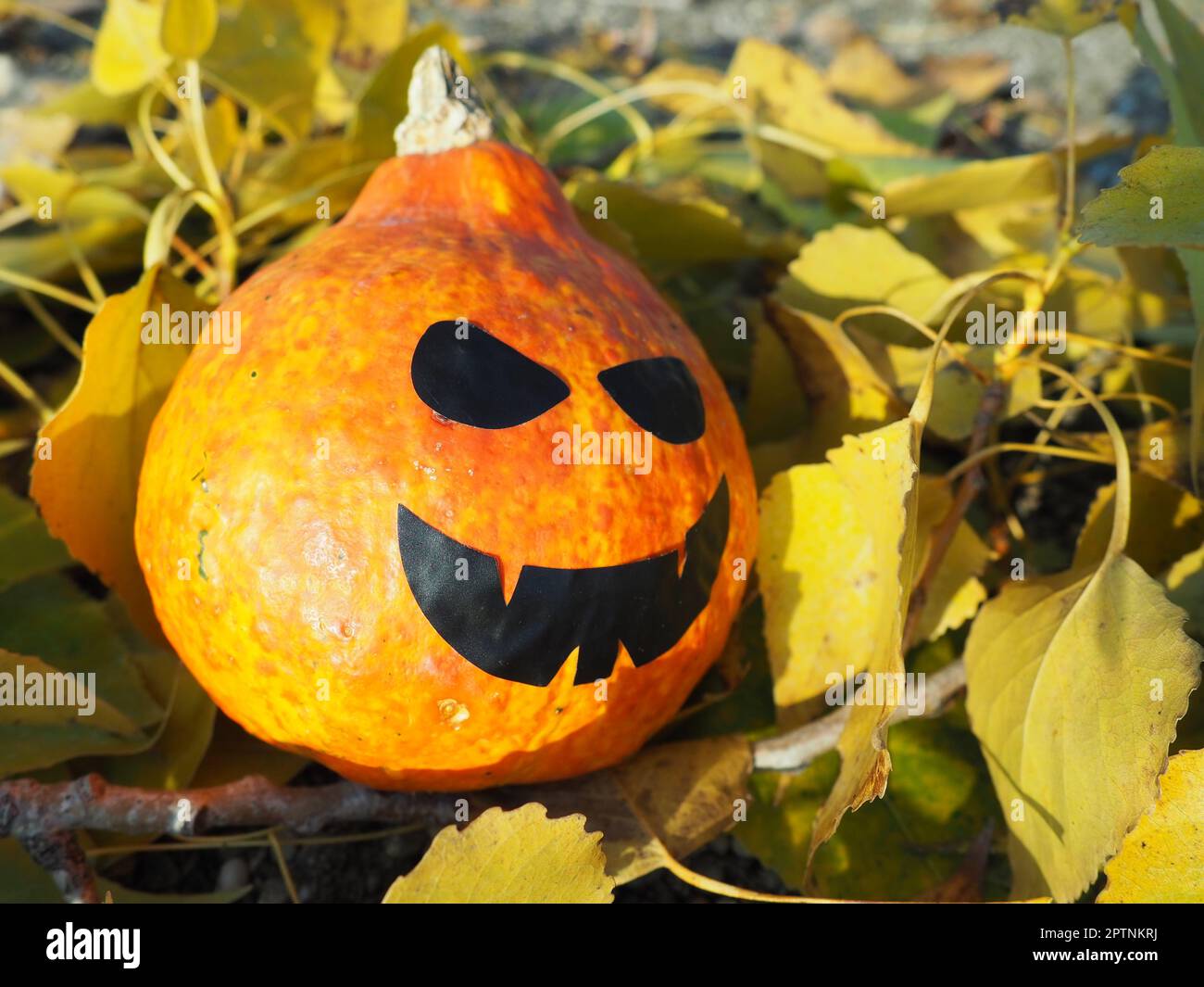 Halloween pumpkin with black mouth and eye stickers. The orange ...