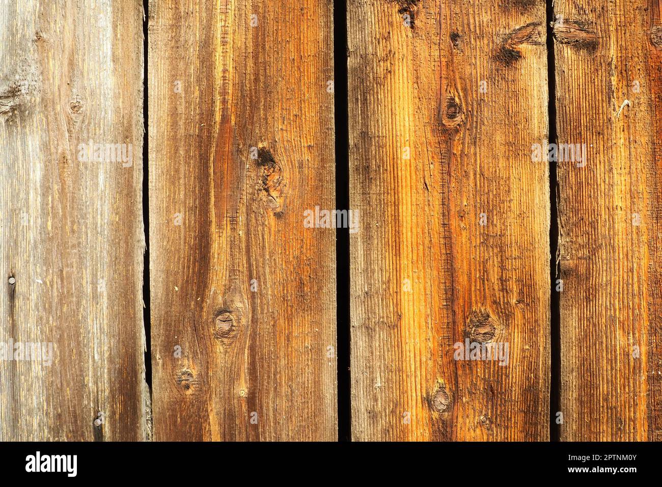 Close up wood with natural texture. The blank wooden template board can ...