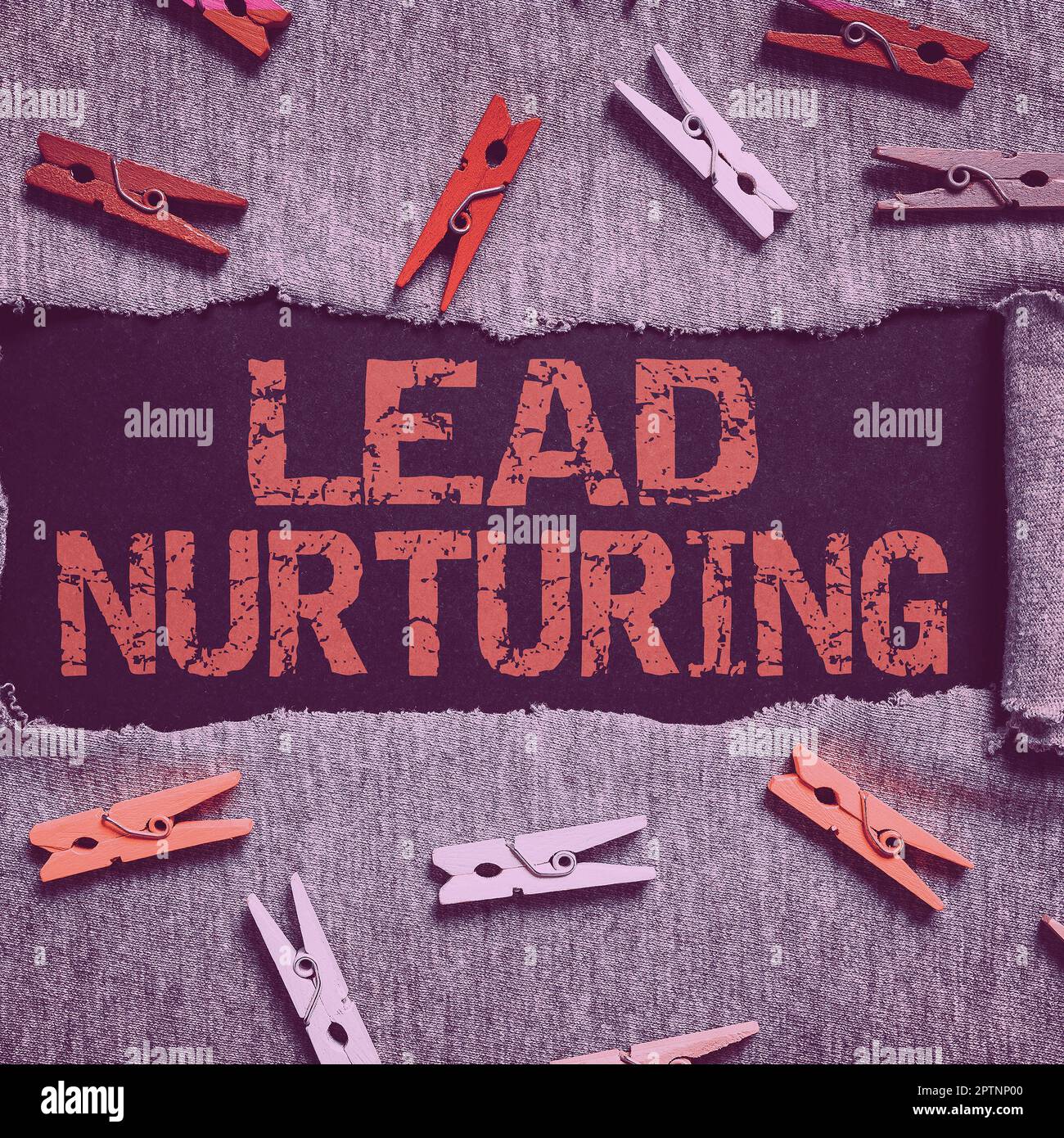 Hand writing sign Lead Nurturing, Word for method of building a ...