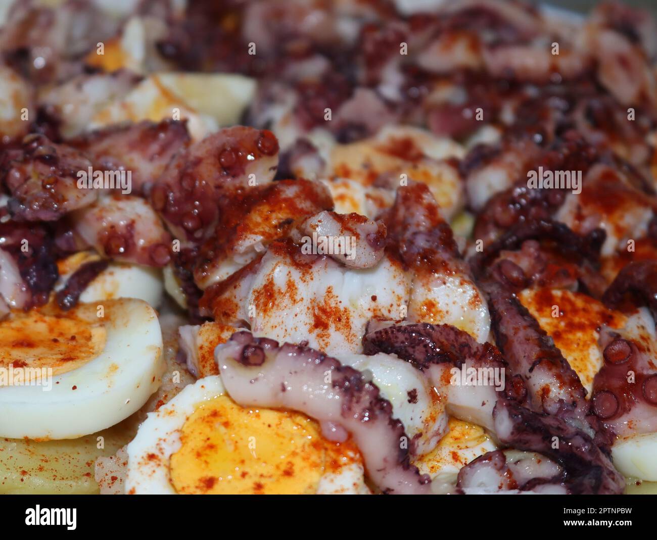 delicious typical octopus dish with potato egg paprika tasty oil Stock ...