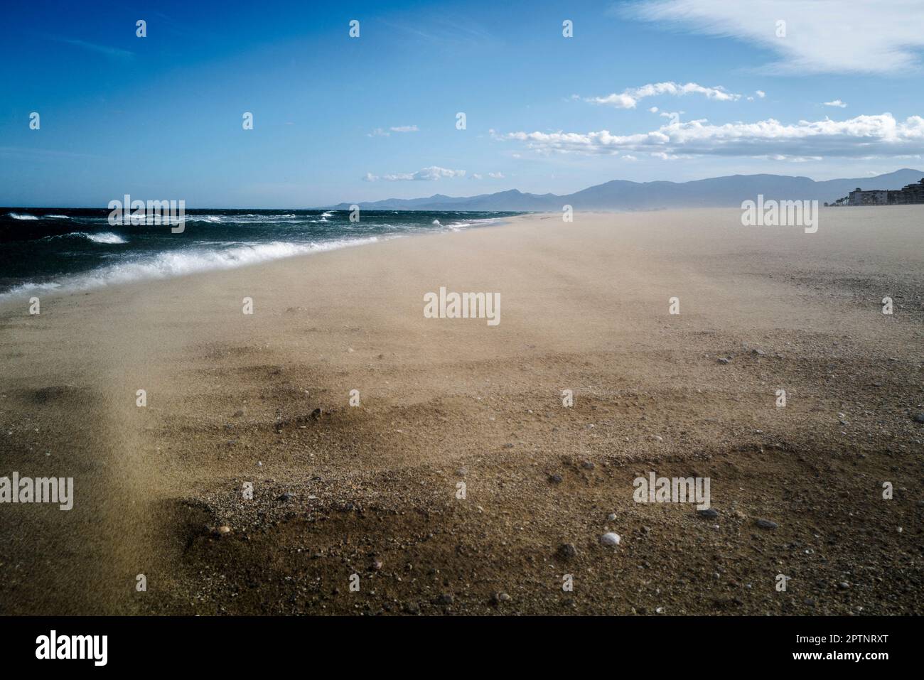 Wind lifting the sand on a beach Stock Photo - Alamy