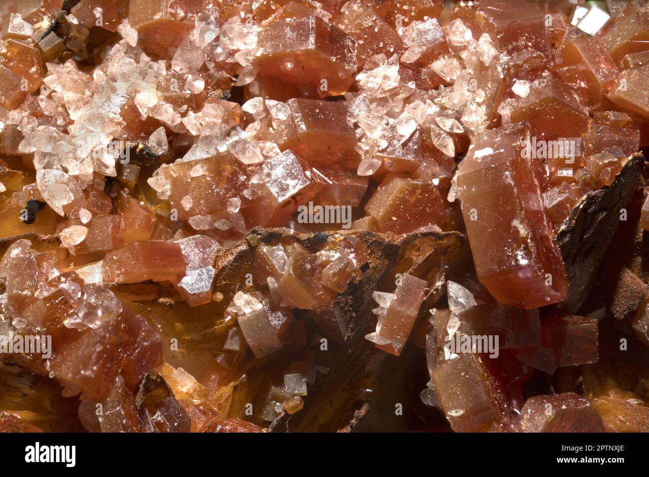 Orange / Brown Stilbite crystals (from Moorse Station Quarry, New ...