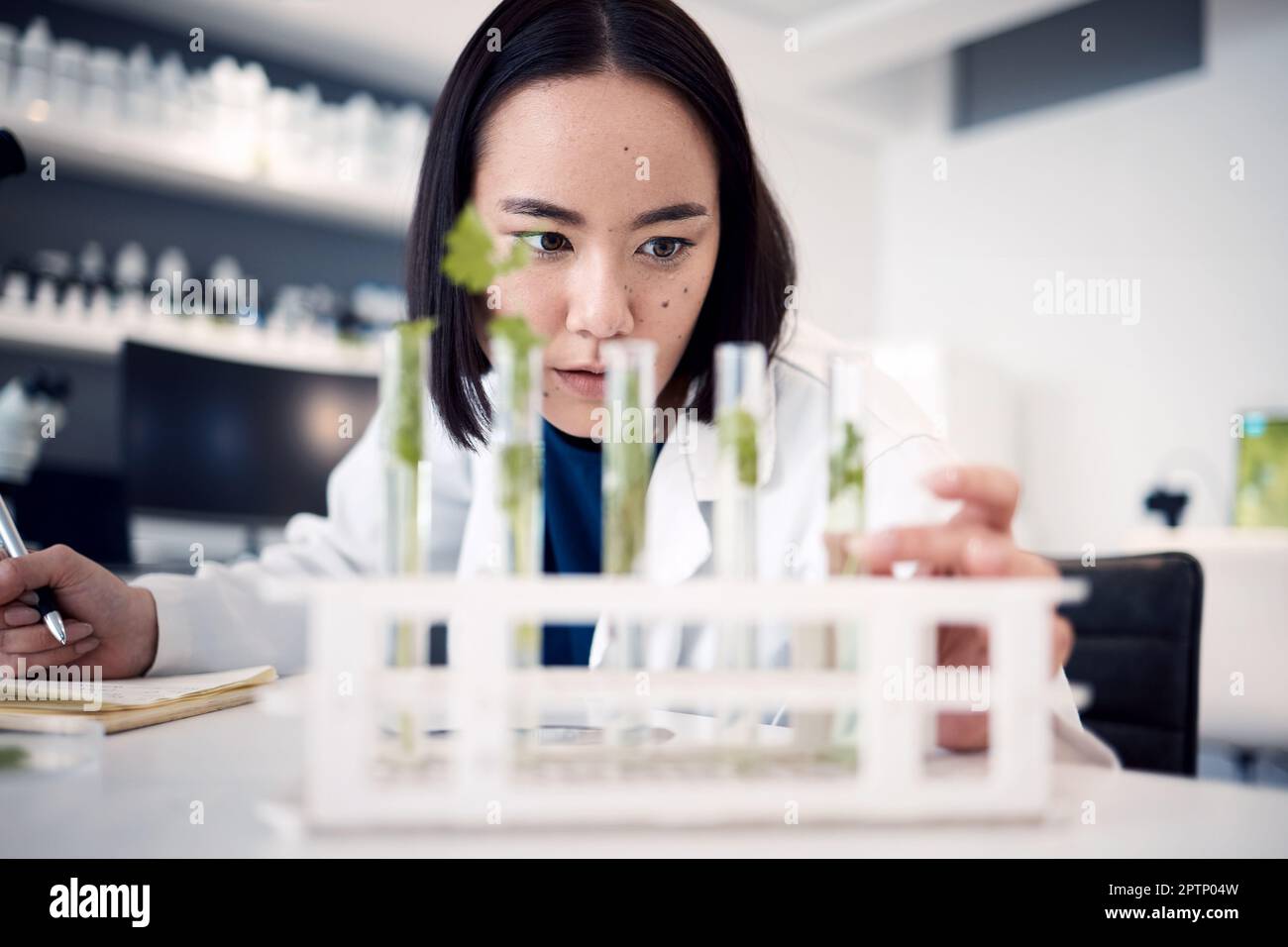 Science, botany leaf analysis and scientist study plant for ...