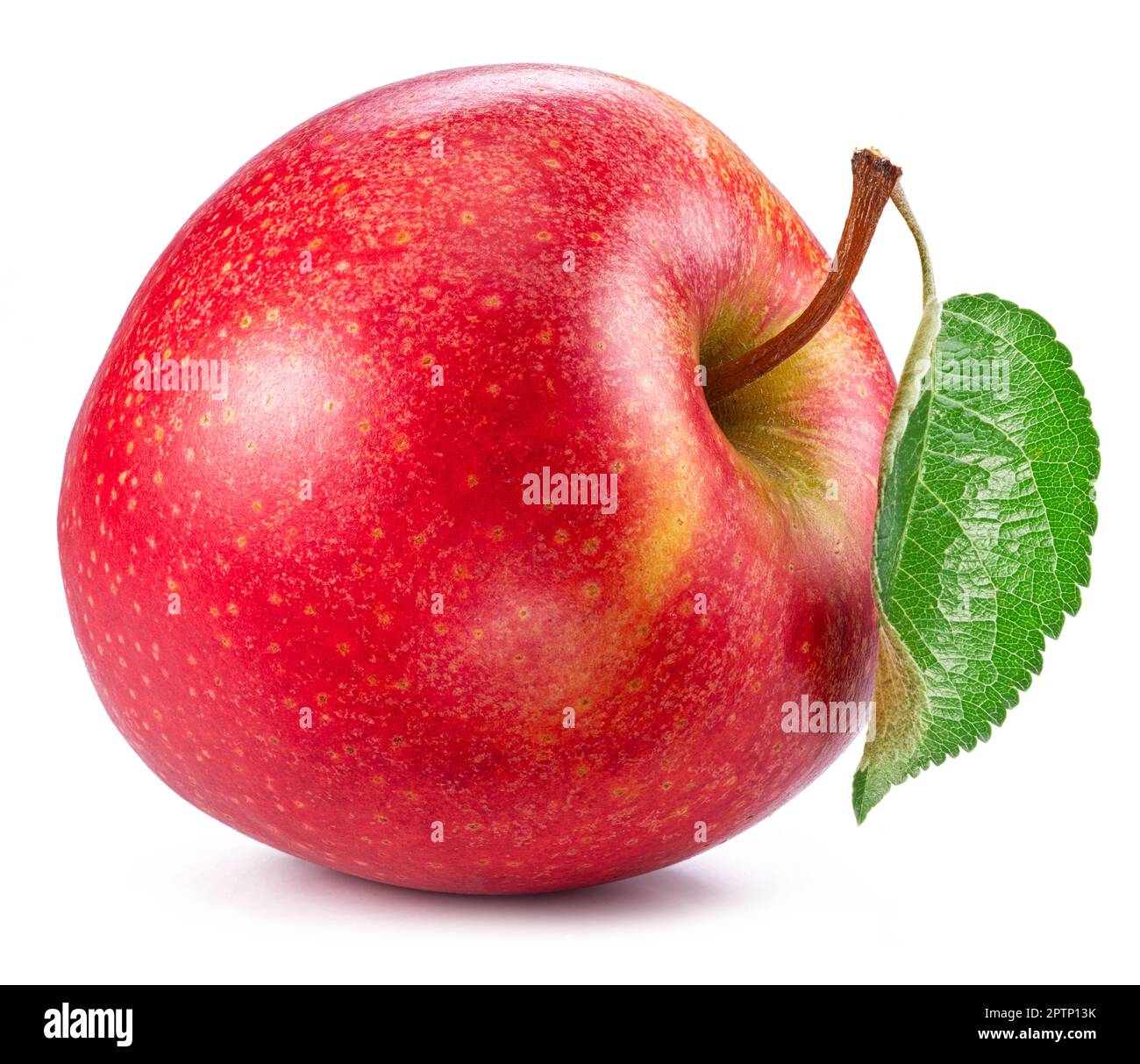 Ripe perfect red apple with green leaf isolated on white background ...
